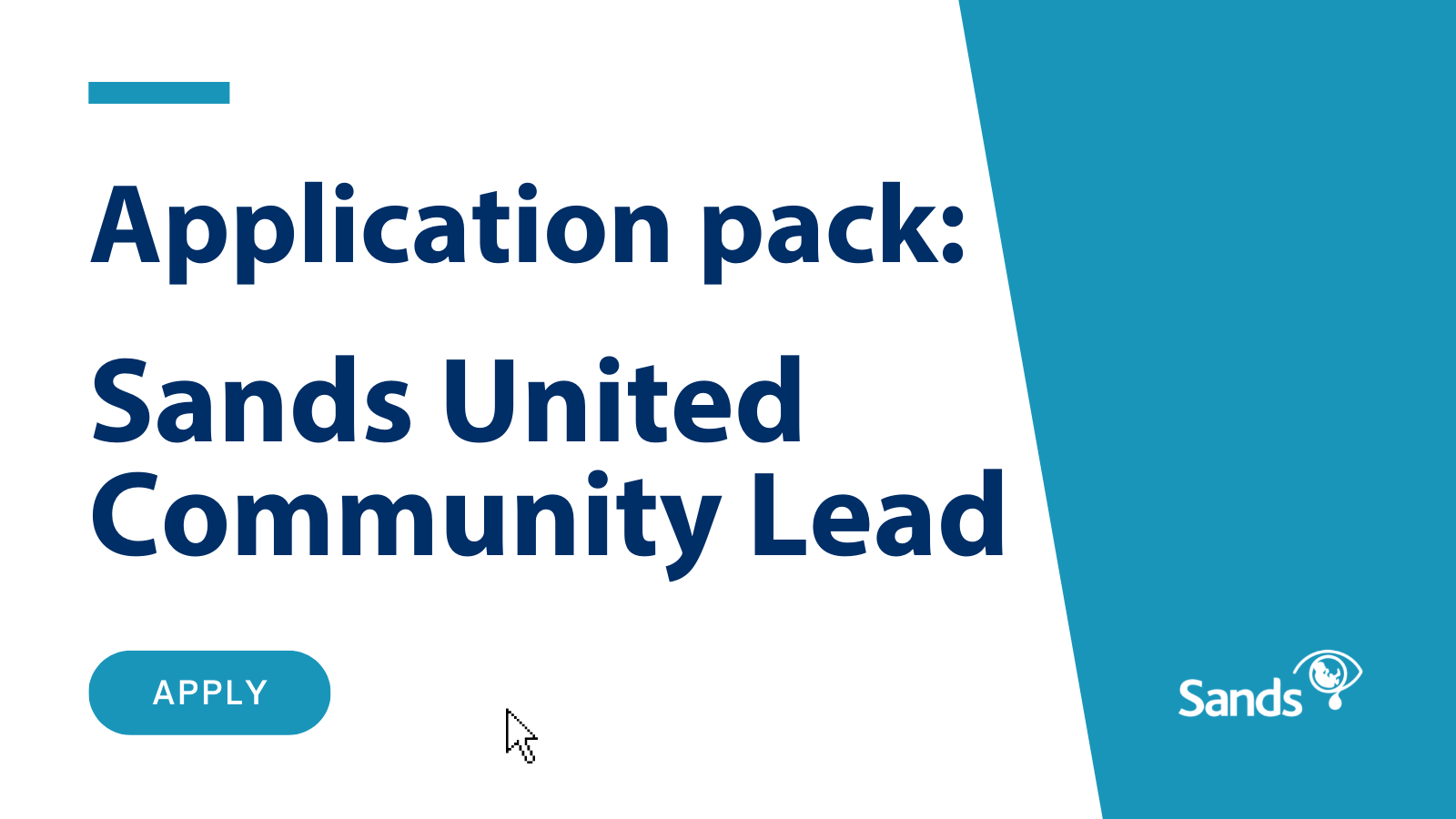 Sands United Community Lead Application Pack | Sands - Saving babies ...